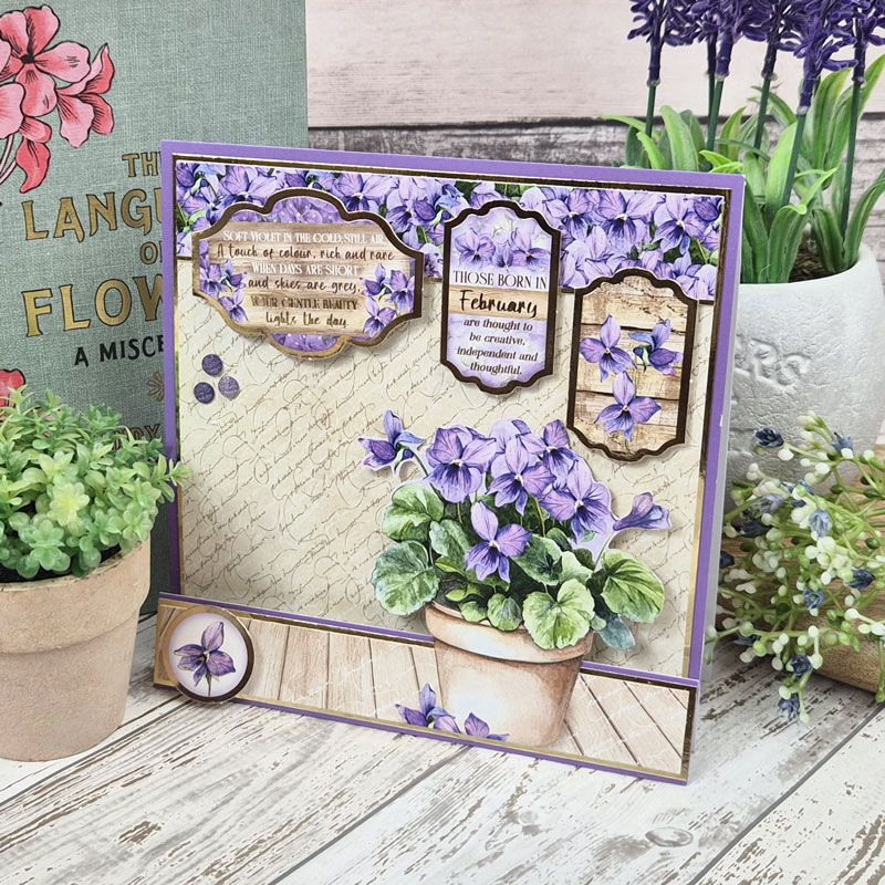 Die Cut Card Topper Sheet - A Year Of Flowers, February Violet - £1.70